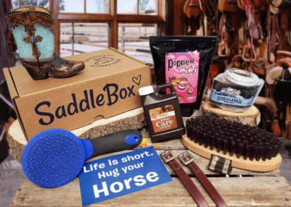 19 Best Horse Gifts for Any Horse Lover | HappyGiftee.com