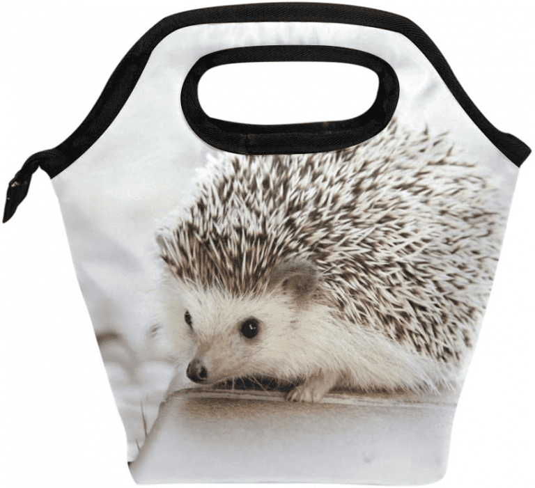 10 Heartfelt Gifts for Hedgehog Lovers | HappyGiftee.com