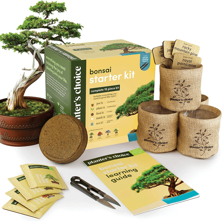 14 Must Have Gifts for Tree Lovers in 2024 | HappyGiftee.com